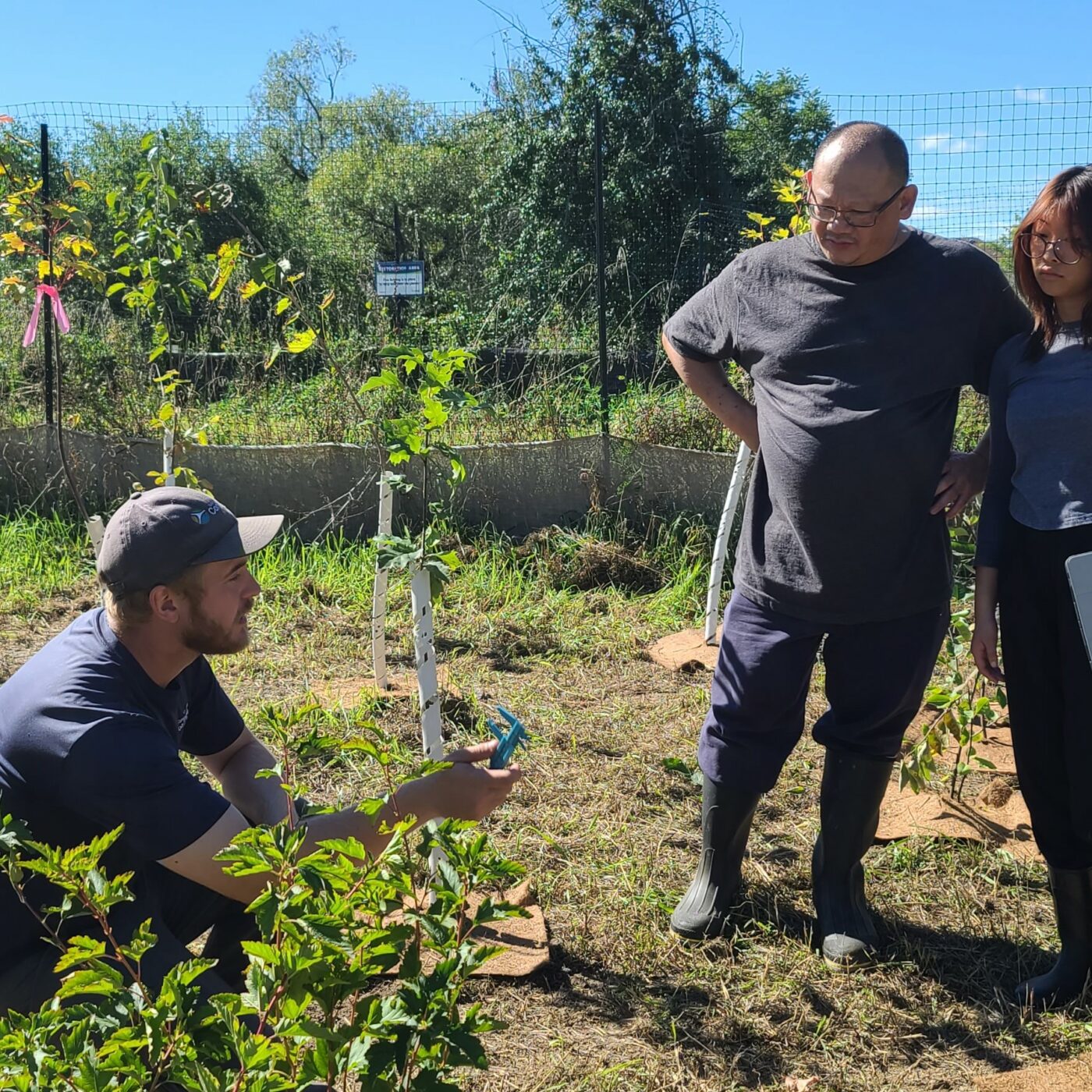 Fall Tree Planting at Conservation Park Drive - Partners in Project Green