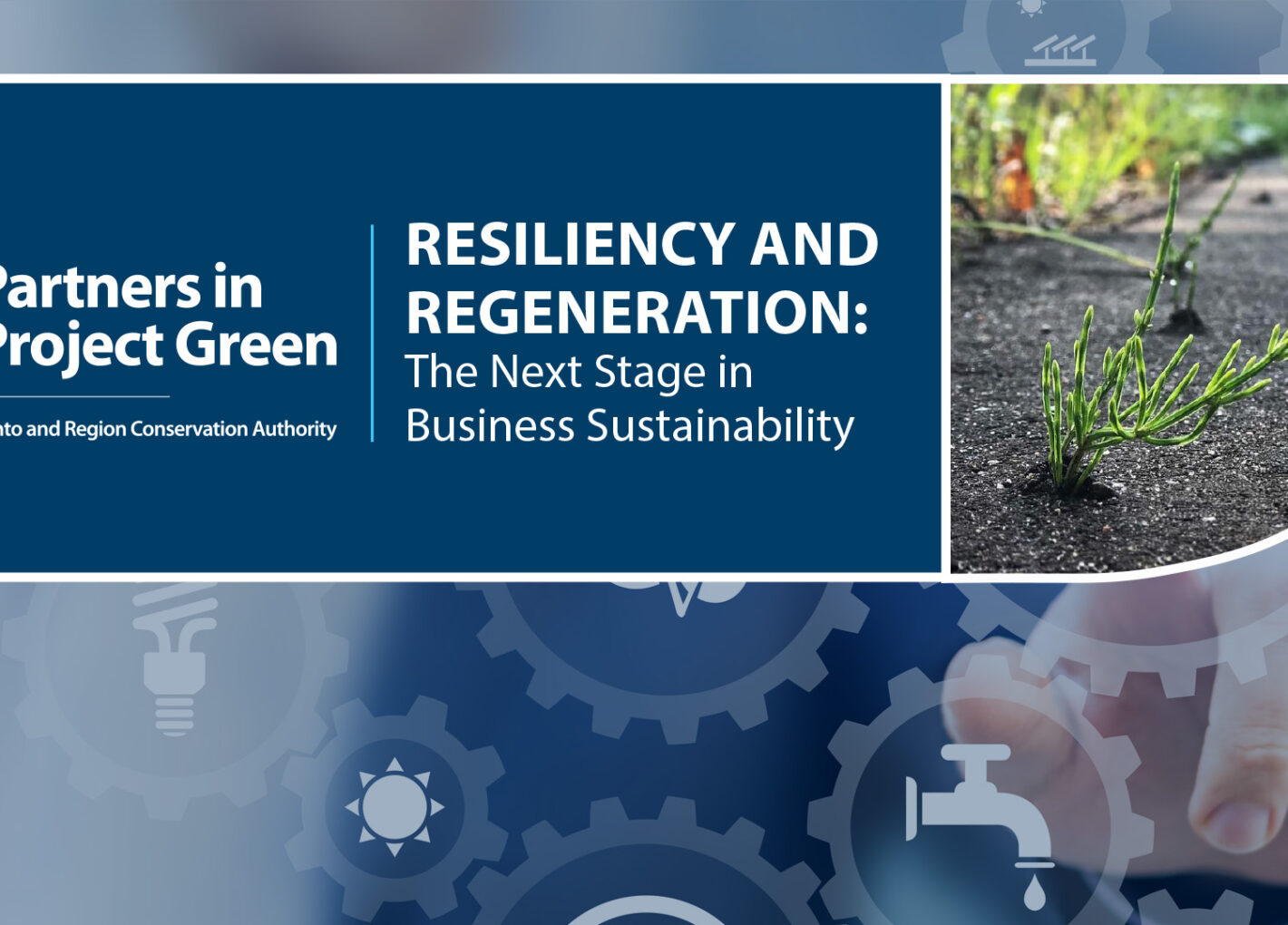 Homepage - Partners in Project Green