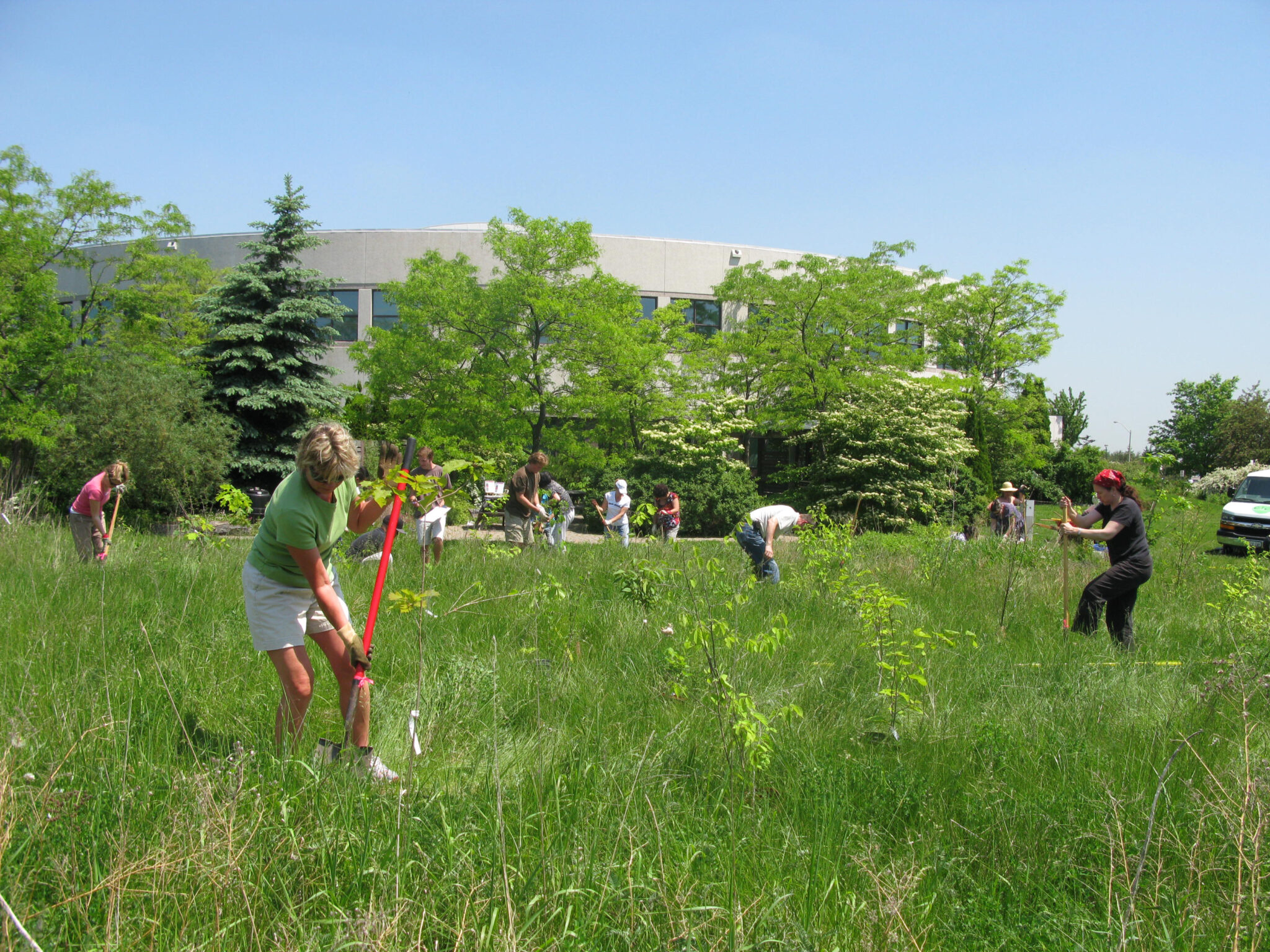 Greening Corporate Grounds - Partners in Project Green