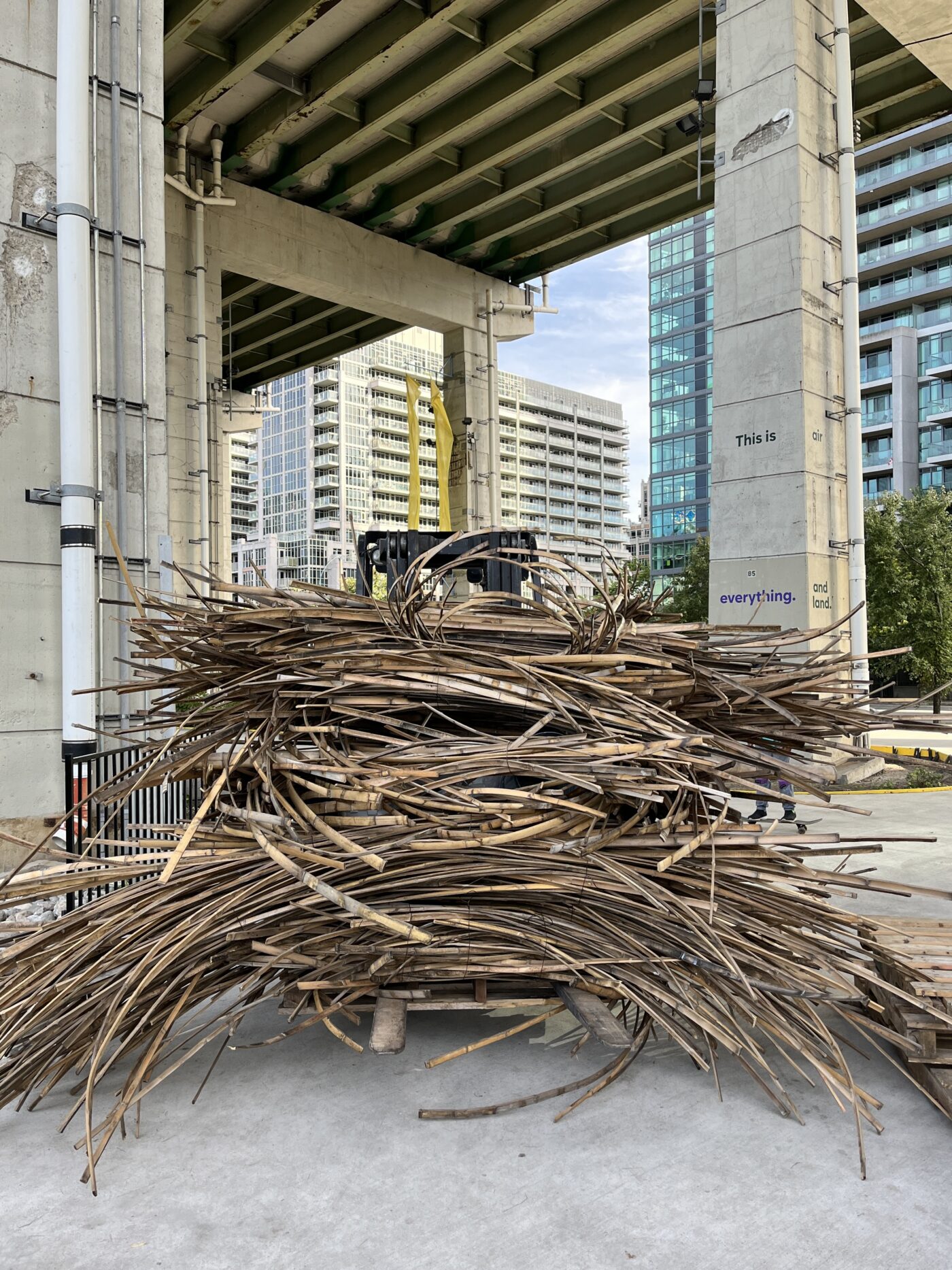 The Bentway Sends Over 3 Tonnes of Bamboo for Reuse to Akachi Farms ...