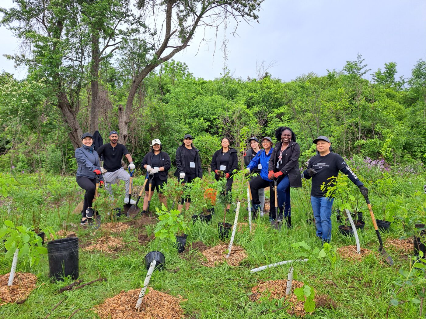 Spring 2024 Tree Planting at Paul Coffey Park - Partners in Project Green