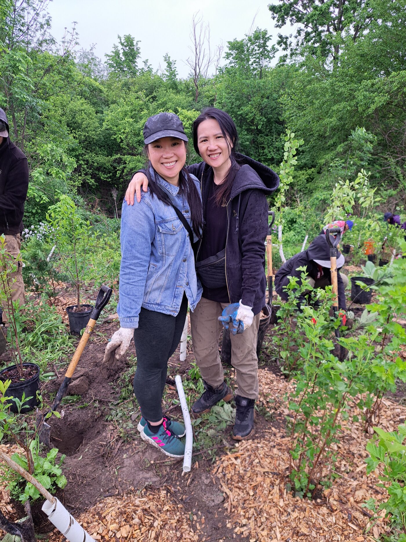 Spring 2024 Tree Planting at Paul Coffey Park - Partners in Project Green