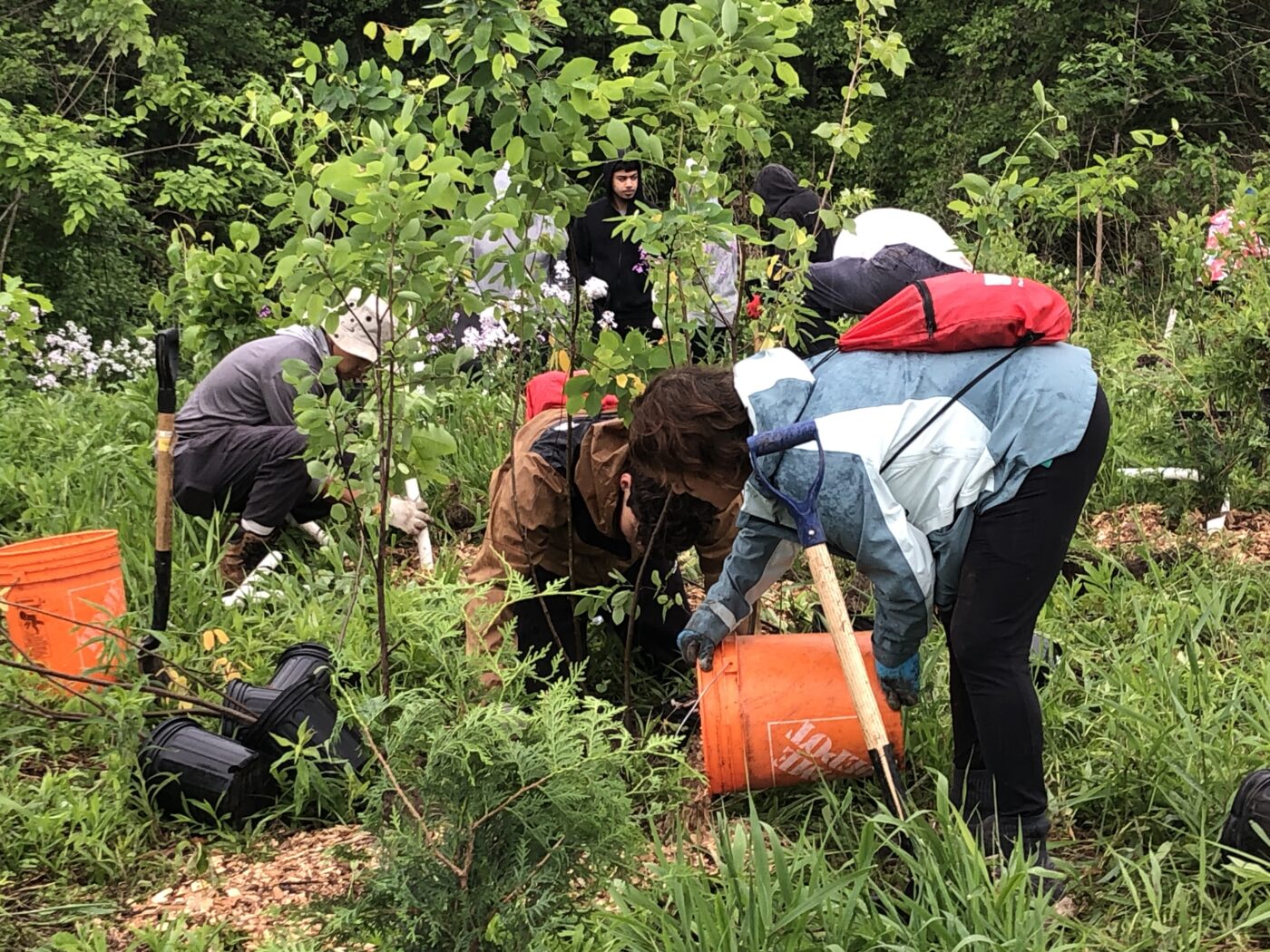 Spring 2024 Tree Planting at Paul Coffey Park - Partners in Project Green